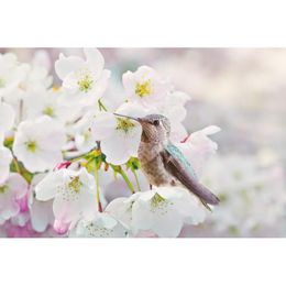 papermoon Fototapete &raquo;Cherra Blossoms&laquo; glatt bunt Vlies B/L: 4m x 2,6m, Bahnen: 8 Stk.