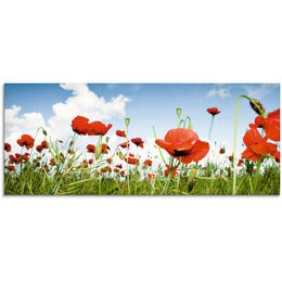 Artland Glasbild &raquo;Feld mit Mohnblumen unter Himmel&laquo; Blumenwiese 1 Stk. tlg. in verschiedenen Gr&ouml;&szlig;en bunt B/H/T: 125cm x 50cm, Glasbild Blumenwiese, 1 Stk.