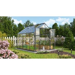 Vitavia Gew&auml;chshaus &raquo;Domus 8300&laquo; Doppelschwingt&uuml;ren und bodentiefer T&uuml;rschwelle, 3 mm Sicherheitsglas schwarz B/H/T: 257cm x 253,9cm x 325cm