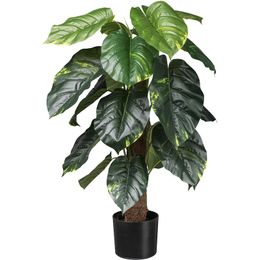 Creativ green K&uuml;nstliche Zimmerpflanze &raquo;Philodendron Scandens&laquo; mit Kokosfasern am Stamm gr&uuml;n B/H/L: 90cm, 1 Stk.