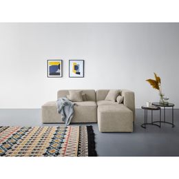 Home Affaire Ecksofa &raquo;Sundstrup L-Form&laquo; Modulserie, individuelle Zusammenstellung grau 100% Polyester B/H/T: 233cm x 76,5cm x 93cm, Struktur weich, 