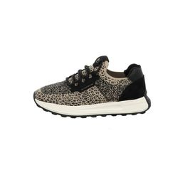 Tom Tailor Sneaker Low in Schwarz | Gr.: 37