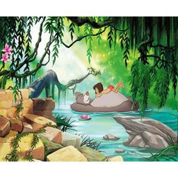 Komar Fototapete &raquo;Jungle Book Swimming with Baloo - Gr&ouml;&szlig;e 368 x 254 cm&laquo; bedruckt glatt Kinderzimmer bunt Papier B/L: 368m x 254m, Rollen: 8