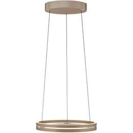 Neuhaus PURE LED Pendelleuchte &raquo;PURE E-Loop&laquo; LED-Board 1 Stk. warmwei&szlig; - kaltwei&szlig; e-LIFT Funktion, CCT, dimmbar &uuml;ber Fernbedienung 2, &Oslash; 50cm H: 40cm, 
