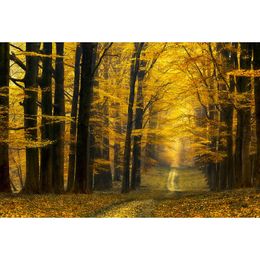 ARCHITECTS PAPER Fototapete &raquo;Destiny Unknown&laquo; Vlies, Wand, Schr&auml;ge bunt Vlies B/L: 4m x 2,7m