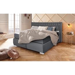 LEONIQUE Boxspringbett &raquo;Rumba&laquo; Taschenfederkern-Matratze in H&auml;rtegrad 3, in 4 Breiten, incl. Topper grau Samtoptik (100% Polyester) Liegefl&auml;che B/L: 180cm x 