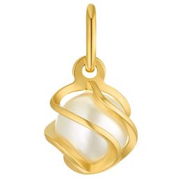 Amor Perlenanh&auml;nger &raquo;9038787&laquo; Made in Germany - mit Wachsperle gold Gelbgold 585 Perlen, 0,55 g