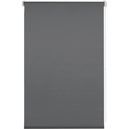 Gardinia Seitenzugrollo &raquo;Uni Klemmrollo&laquo; Lichtschutz Sichtschutz mit Bohren/ohne Bohren freih&auml;ngend Schraubmontage m&ouml;glich grau Polyester 150cm, 