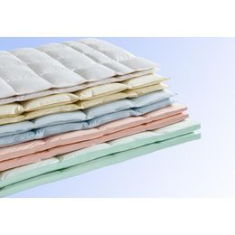 H&auml;ussling Daunenbettdecke &raquo;&Uuml;berraschungspaket, Bettdecken f&uuml;r Sommer und Winter&laquo; normal F&uuml;llung 90Daunen10Federn 1 Stk. tlg. Bettdecke 135x200, 155x220cm und 