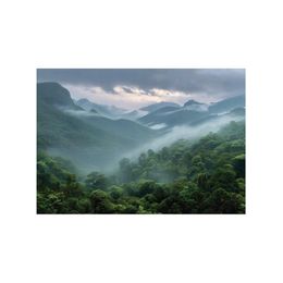 WALLARENA Fototapete Wald in Gr&uuml;n | Gr.: 150 x 105 cm