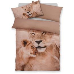 OTTO home Bettw&auml;sche &raquo;Lyki&laquo; 2 ab Gr&ouml;&szlig;e 135x200 cm, 100% Polyester, Katze, Pferd, L&ouml;we, Pinguin Microfaser, Obermaterial: 100% Polyester B/L: 135cm x 