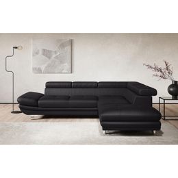 COTTA Ecksofa &raquo;Enterprise L-Form, B: 277 cm&laquo; Arm- & Kopfteilverstellung, optional Schlaffunktion schwarz Softlux -Kunstleder;Luxus-Kunstleder B/H/T: 