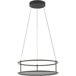 Paul Neuhaus LED Pendelleuchte &raquo;CONNI&laquo; LED-Board 1 Stk. Warmwei&szlig; Touchdimmer, separat schaltbar, Memoryfunktion, Deko-Ablagefl&auml;che schwarz 2, &Oslash; 50cm H: 60cm, 1 Stk