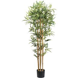 Creativ green Kunstbaum &raquo;Bambus&laquo; mit echten Bambusst&auml;ben gr&uuml;n B/H/L: 155cm, 1 Stk.