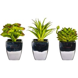 OTTO home Kunstpflanze &raquo;Loreen&laquo; im Topf, 3er Set gr&uuml;n Kunststoff B/H/L: 7cm x 13cm x 7cm, 3 Stk.