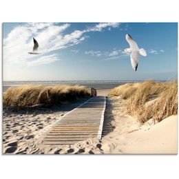 Artland Glasbild &raquo;Nordseestrand auf Langeoog mit M&ouml;wen&laquo; Strand 1 Stk. tlg. in verschiedenen Gr&ouml;&szlig;en blau B/H/T: 80cm x 60cm, Glasbild Strand, 1 Stk.