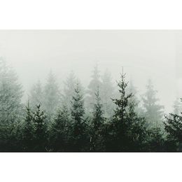 Livingwalls living walls Fototapete &raquo;ARTist Mountain Forest&laquo; Vlies, Wand, Schr&auml;ge grau Vlies B/L: 4m x 2,7m