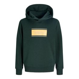 Jack & Jones JACK & JONES Junior Kapuzenpullover in Scarab | Gr.: 152