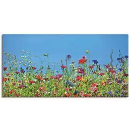 Artland Leinwandbild &raquo;Blumenwiese II&laquo; Blumenwiese 1 Stk. tlg. auf Holzrahmen gespannt blau Leinwand B/H/T: 100cm x 50cm, Leinwandbild Blumenwiese Querformat, 