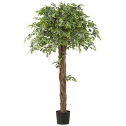 Creativ green Kunstpflanze &raquo;Ficus benjamina&laquo; mit lianenartigem Stamm gr&uuml;n Kunststoff B/H/L: 175cm, 1 Stk.