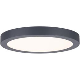Paulmann LED Deckenleuchte &raquo;Abia&laquo; LED-Modul 1 Stk. Warmwei&szlig; LED-Modul, LED Deckenlampe grau 1, &Oslash; 30cm H: 3cm, 1 Stk.