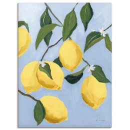 Artland Wandbild &raquo;Lemon Tree Light&laquo; Pflanzenbilder 1 Stk. tlg. als Alubild, Leinwandbild, Poster, Wandaufkleber in verschied. Gr&ouml;&szlig;en gelb Leinwand B/H/T: 60cm