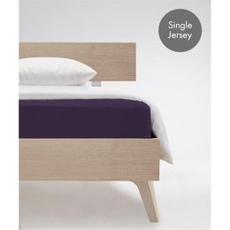 Fleuresse Spannbettlaken &raquo;Jenny C aus feinf&auml;digem Mako-Jersey&laquo; f&uuml;r Matratzen bis 23 cm H&ouml;he lila Mako-Jersey, Obermaterial: 100% Baumwolle B/L: 200cm,