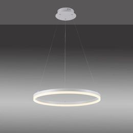 Paul Neuhaus Pendelleuchte &raquo;TITUS&laquo; LED-Board 1 Stk. Warmwei&szlig; LED, dimmbar, Simply Dim, Memory, nach Trennung vom Netz wei&szlig; 1, &Oslash; 60cm, 1 Stk.