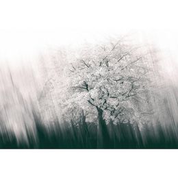 ARCHITECTS PAPER Fototapete &raquo;Streaks Spring&laquo; Vlies, Wand, Schr&auml;ge bunt Vlies B/L: 4m x 2,7m