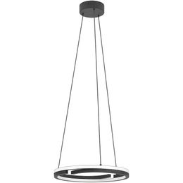 Eglo H&auml;ngeleuchte &raquo;MEZZOMONTE Pendellampe - Alu, Stahl - LED;LED - 1X20W;1X20W - IP20&laquo; LED-Modul 1 Stk. Kaltwei&szlig; Neutralwei&szlig; Warmwei&szlig; H&auml;ngelampe, 