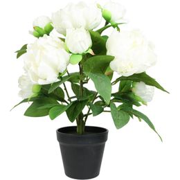 I.GE.A. Kunstpflanze &raquo;K&uuml;nstlicher P&auml;onienbusch im Topf&laquo; 40cm Pfingstrose P&auml;onie Dekoblumen Kunstblume Deko Hochzeit wei&szlig; Polyester B/H/L: 31cm x 40cm