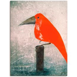 Artland Wandbild &raquo;Der Rote Vogel&laquo; V&ouml;gel 1 Stk. tlg. als Leinwandbild, Poster in verschied. Gr&ouml;&szlig;en rot Leinwand B/H/T: 30cm x 40cm, Leinwandbild V&ouml;gel 