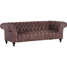 GUTMANN FACTORY Big-Sofa &raquo;Amazonas, Sofa mit Anilinleder-Bezug, Breite 230 cm&laquo; Sitzpolsterung: formstabiler Poly&auml;therschaum auf Wellenunterfederung braun B/H/T: 230cm