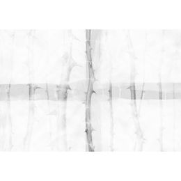 ARCHITECTS PAPER Fototapete &raquo;Atelier 47 Thorn Art 2&laquo; floral glatt Vlies, Wand, Schr&auml;ge, Decke grau Vlies B/L: 4m x 2,7m