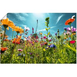 Artland Wandbild &raquo;Buntes Blumenfeld&laquo; Blumenwiese 1 Stk. tlg. als Alubild, Leinwandbild, Poster in verschied. Gr&ouml;&szlig;en bunt B/H/T: 120cm x 80cm, Poster 