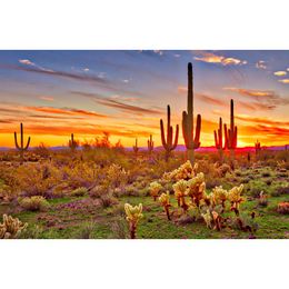 papermoon Fototapete &raquo;Saguaros Sunset Phoenix&laquo; glatt bunt Vlies B/L: 4m x 2,6m, Bahnen: 8 Stk.