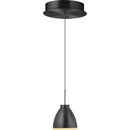 HELL h&ouml;llisch gutes Licht LED Pendelleuchte &raquo;HENRI&laquo; LED-Modul 1 Stk. Warmwei&szlig; B-Link Fernbedienung, Stufenlos h&ouml;henverstellbar schwarz 1, &Oslash; 26cm, 1 