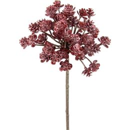 I.GE.A. Kunstblume &raquo;Dill&laquo; Metallic-Distelzweig, Kunstzweige, 3er Set rot Obermaterial: 100% Kunststoff B/H/L: 14cm x 55cm x 14cm, 3 Stk.