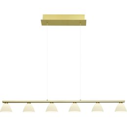 HELL h&ouml;llisch gutes Licht LED Pendelleuchte &raquo;MONA&laquo; LED-Modul 1 Stk. Warmwei&szlig; Tastdimmer, Stufenlos h&ouml;henverstellbar gold 6, 1 Stk.