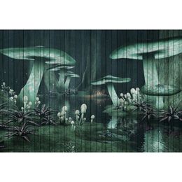 Livingwalls living walls Fototapete &raquo;Walls by Patel Fantasy 1&laquo; glatt Vlies, Wand, Schr&auml;ge gr&uuml;n Vlies B/L: 4m x 2,7m