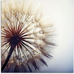 Artland Glasbild &raquo;Gro&szlig;e Pusteblume&laquo; Blumen 1 Stk. tlg. in verschiedenen Gr&ouml;&szlig;en blau B/H/T: 40cm x 40cm, Glasbild Blumen, 1 Stk.