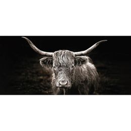 Leinwandbild &raquo;Wandbild HOCHLANDRIND XXL 90x200 cm &ndash; Leinwandbild Keilrahmen Deko&laquo; Kuhbilder 1 Stk. tlg. auf Keilrahmen gespannt schwarz Canvas, MDF B/