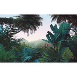 Komar Vliestapete &raquo;Digitaldruck Vlies - Jungle Morning - Gr&ouml;&szlig;e 400 x 250 cm&laquo; bedruckt glatt Wohnzimmer, Schlafzimmer bunt Vlies B/L: 400m x 250m, Rollen: 1
