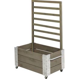 Plus Blumenkasten &raquo;Cubic&laquo; mit Spalier, BxTxH: 50x87x130 cm grau Massivholz, Stahl B/H/T: 50cm x 130cm x 87cm
