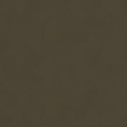 WOW Vliestapete &raquo;Grundputz Khaki Gr&uuml;n&laquo; gepr&auml;gt FSC zertifiziert, mit lebhaftem Druck, 10 Meter L&auml;nge bunt Vlies B/L: 0,52m x 10m, Rollen: 1
