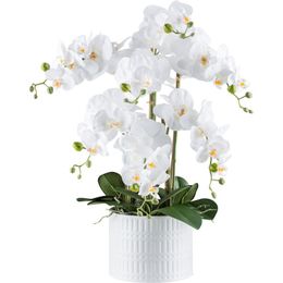Creativ green Kunstorchidee &raquo;Orchidee Phalaenopsis&laquo; mit real-touch-Bl&uuml;ten wei&szlig; Kunststoff B/H/L: 60cm, 1 Stk.