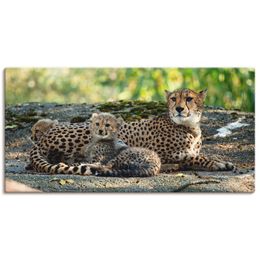 Artland Leinwandbild &raquo;Gepard 2&laquo; Wildtiere 1 Stk. tlg. auf Holzrahmen gespannt braun Leinwand B/H/T: 60cm x 30cm, Leinwandbild Wildtiere Querformat, 1 Stk.