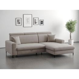 Trends by HG Ecksofa &raquo;Nizza, L-Form, B: 250cm&laquo; mit Schlaffunktion und Bettkasten beige 92% Polyester;8% Nylon B/H/T: 250cm x 104cm x 166cm, Struktur, 