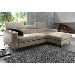 COTTA Ecksofa &raquo;Sammy L-Form&laquo; mit Kopfteilverstellung, wahlweise mit Schlaffunktion grau Microfaser PRIMABELLE (100% Polyester);NaturLEDER in Sitz und 