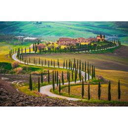 papermoon Fototapete &raquo;Fields in Tuscany&laquo; glatt bunt Vlies B/L: 3,5m x 2,6m, Bahnen: 7 Stk.
